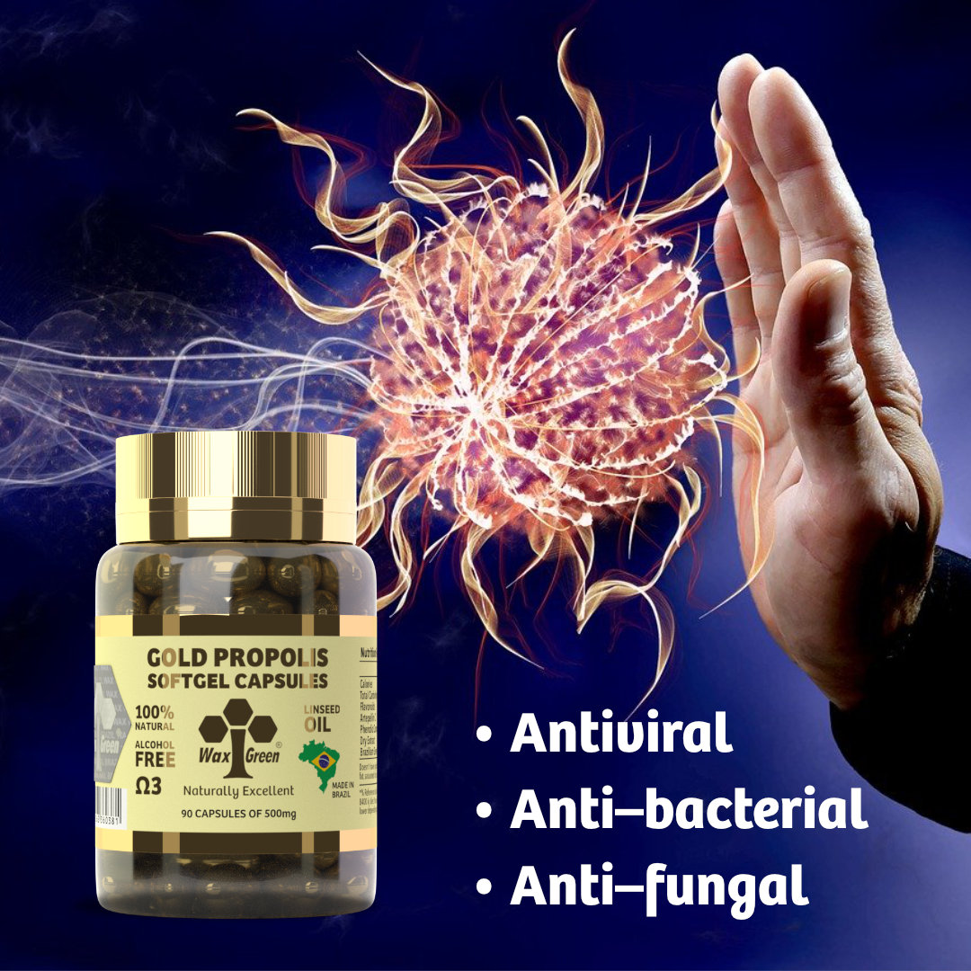 Propolis Gold Capsules – Premium Brazilian Green Propolis – Immune ...