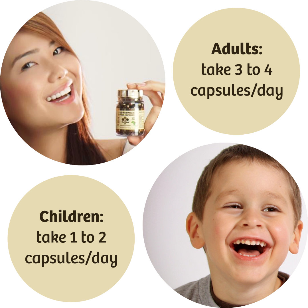 Propolis Gold Capsules – Premium Brazilian Green Propolis – Immune ...